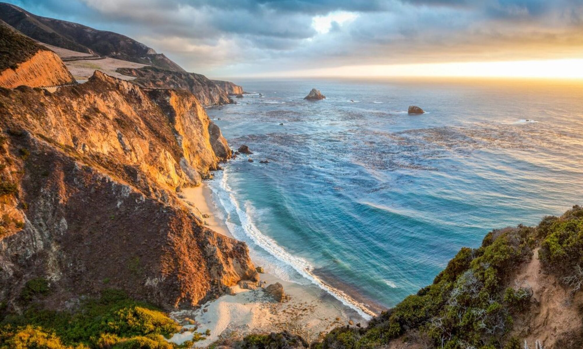 Why Choose Sophia Insight Sophia Insight